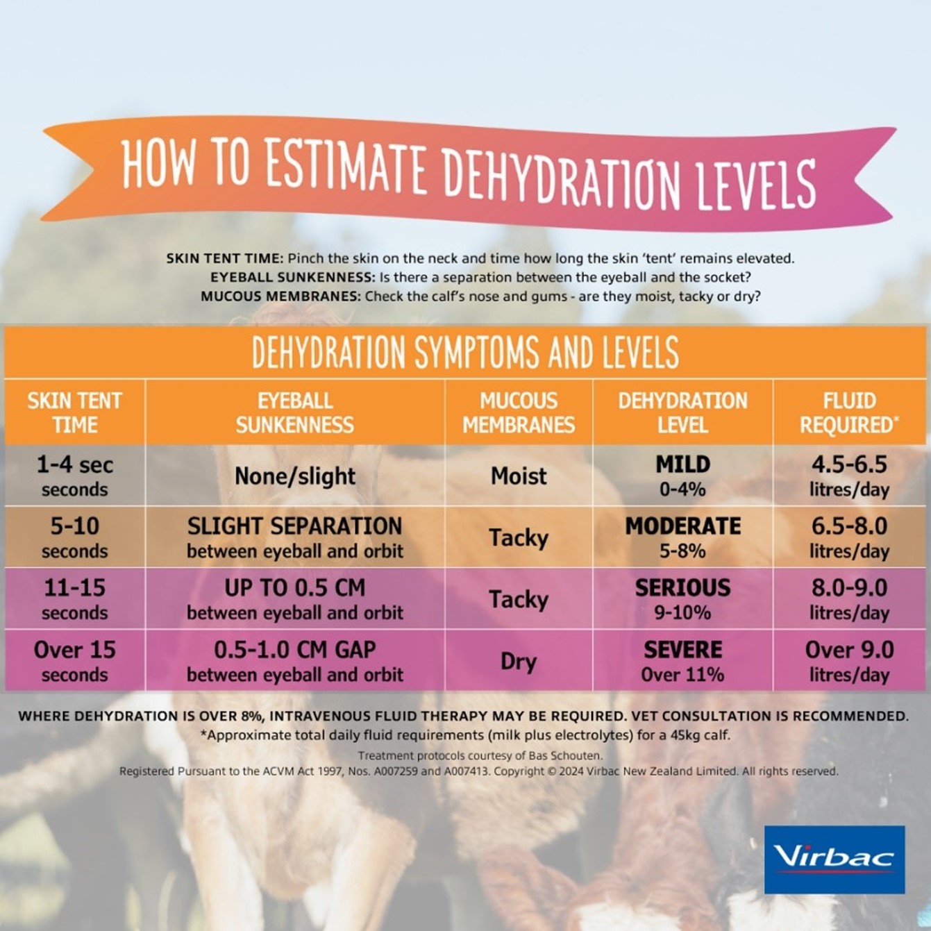 How to give electrolytes to young stock – Levin & Horowhenua Vets
