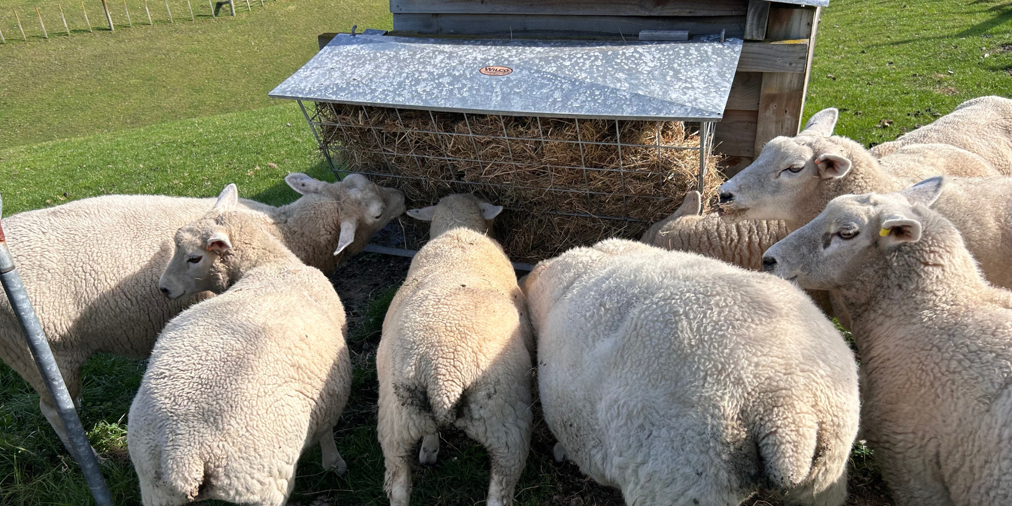 Feed Budgets - Levin & Horowhenua Vets